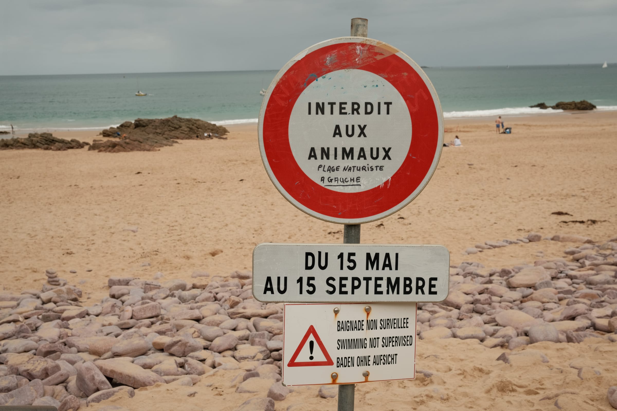 Einreise Frankreich Hund